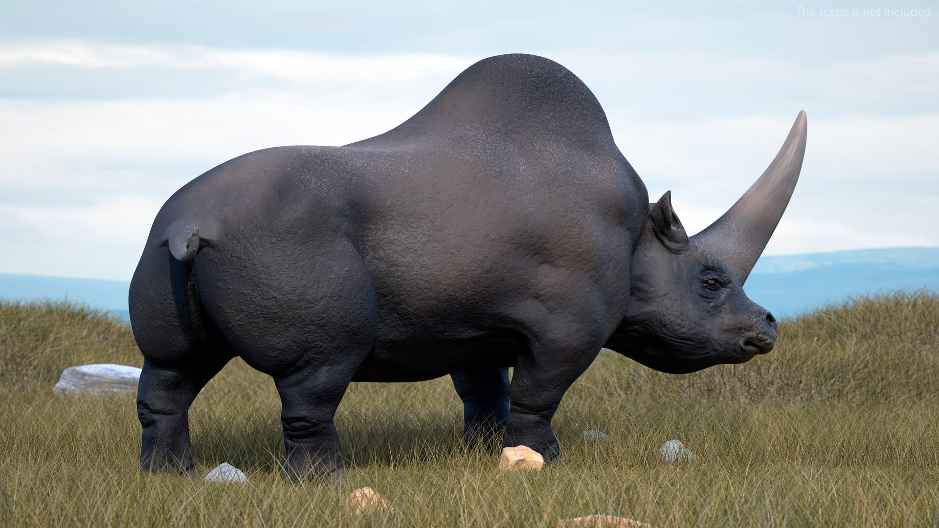 3D Elasmotherium Rigged For Modo Model - TurboSquid 1985032