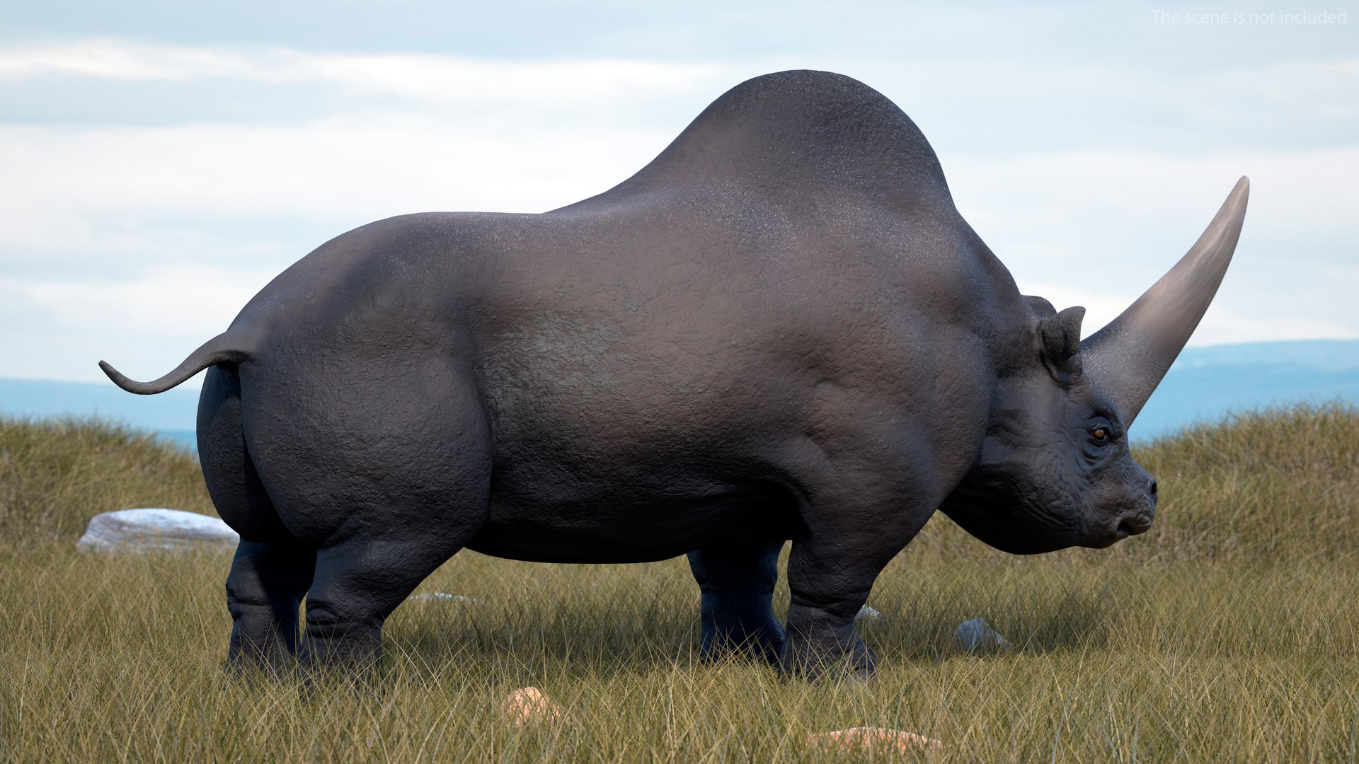 3D Elasmotherium Rigged For Modo Model - TurboSquid 1985032