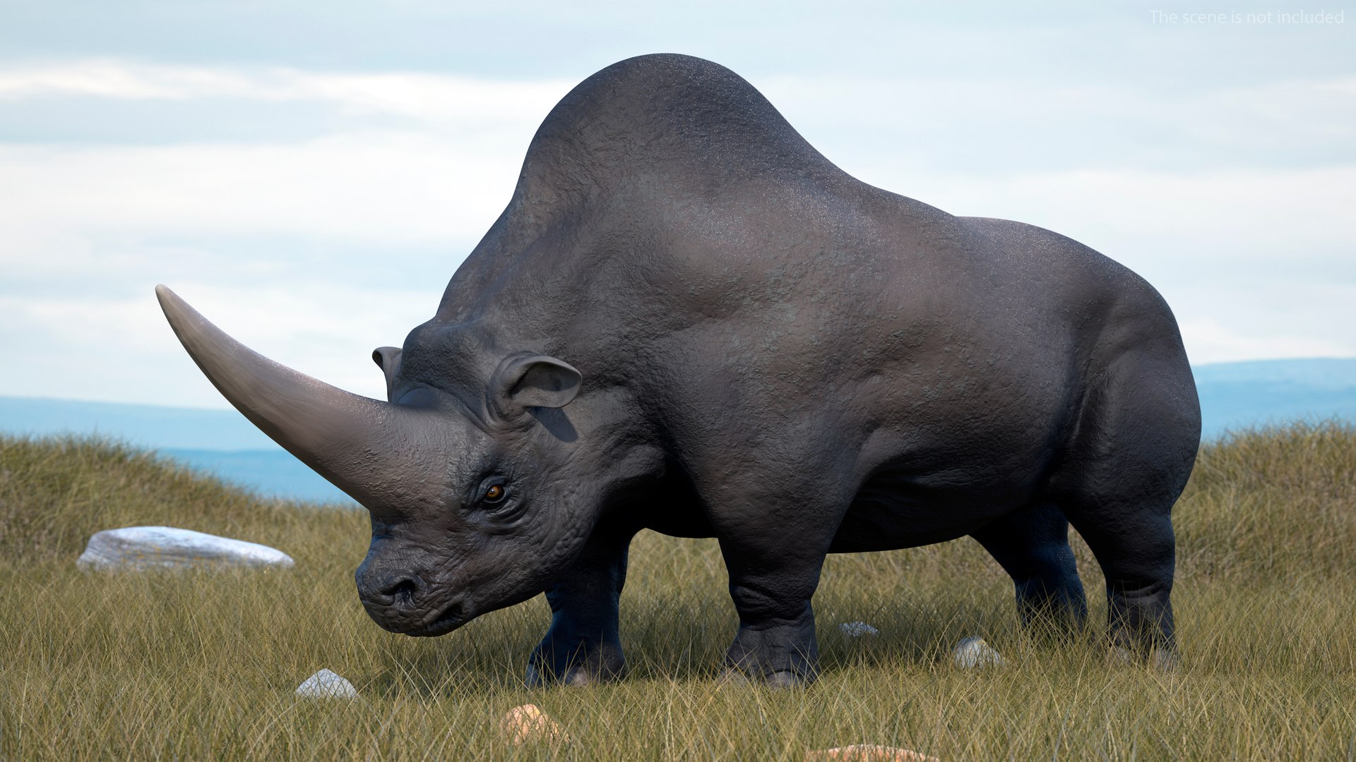 3D Elasmotherium Rigged For Modo Model - TurboSquid 1985032