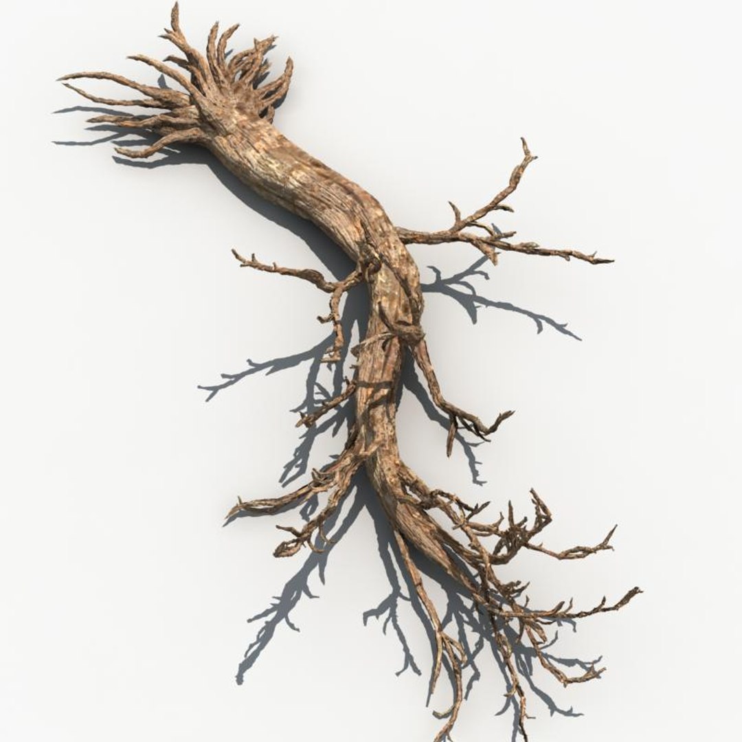 Scary Tree Dry 3d Model