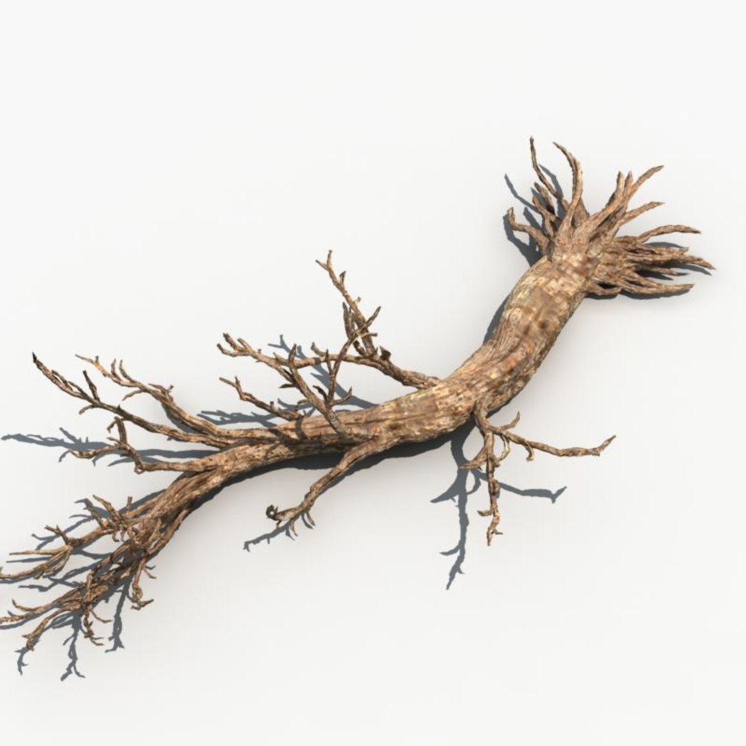 Scary Tree Dry 3d Model