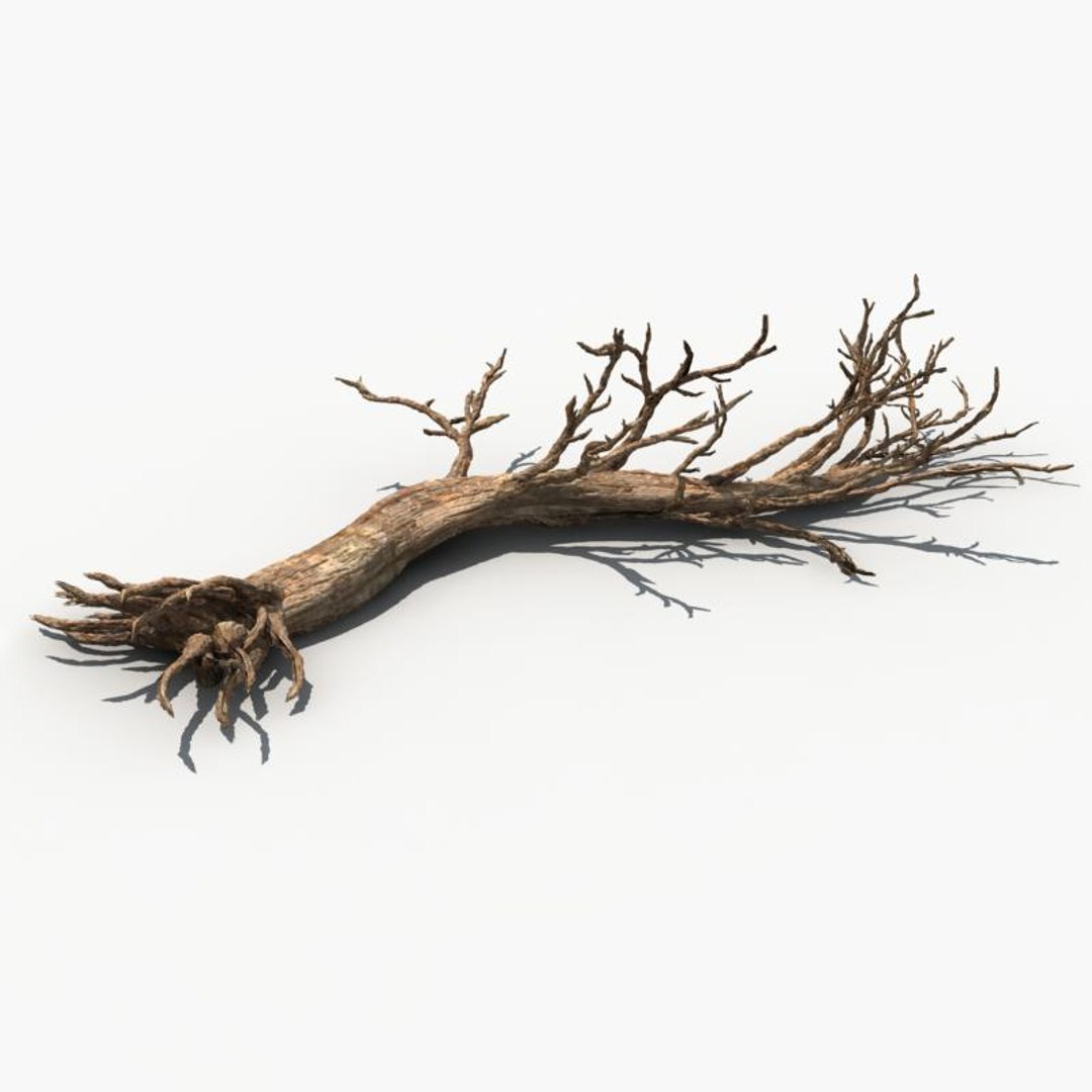 Scary Tree Dry 3d Model
