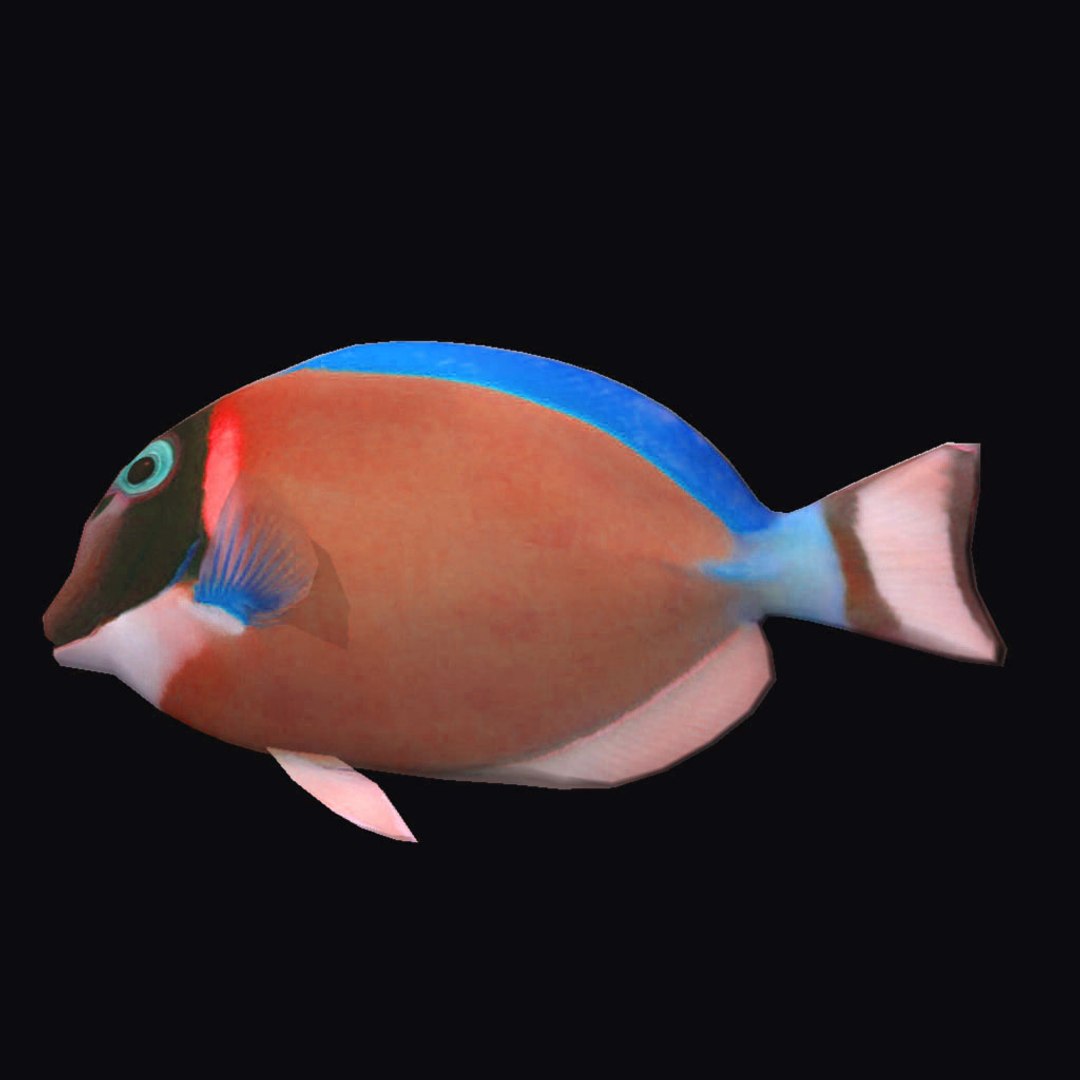 Powder tang red 3D model - TurboSquid 1244943