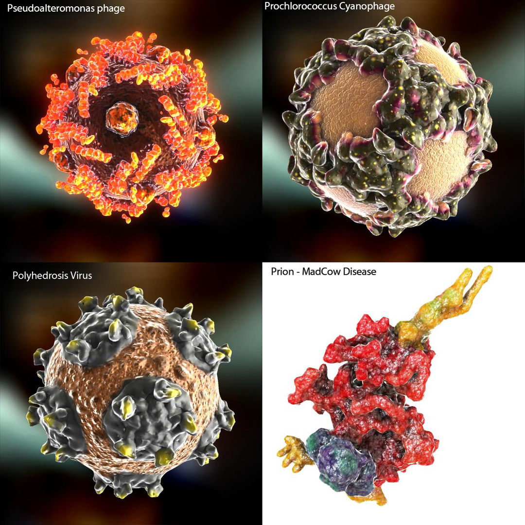 3d virus hiv human model