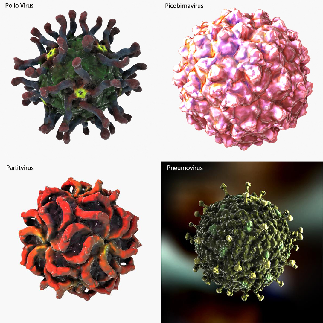 3d virus hiv human model