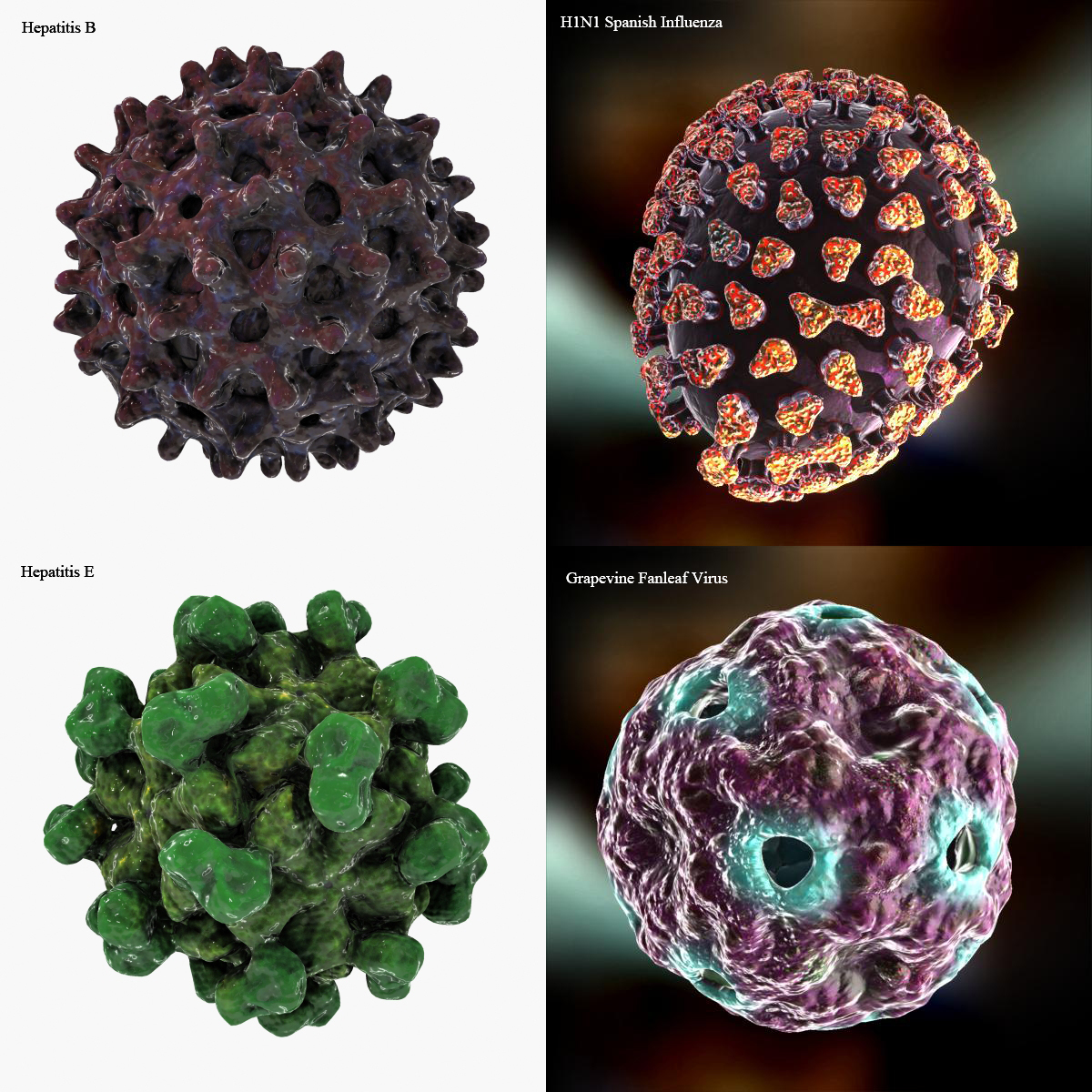 3d virus hiv human model