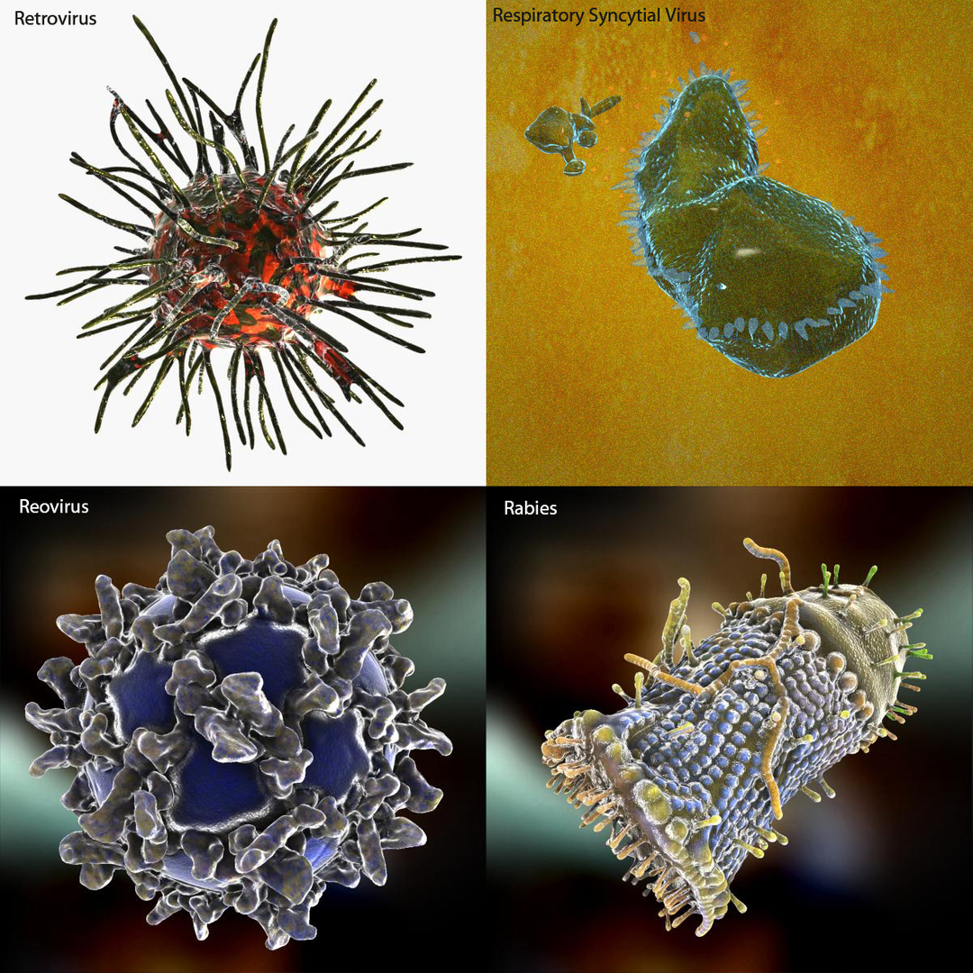3d virus hiv human model