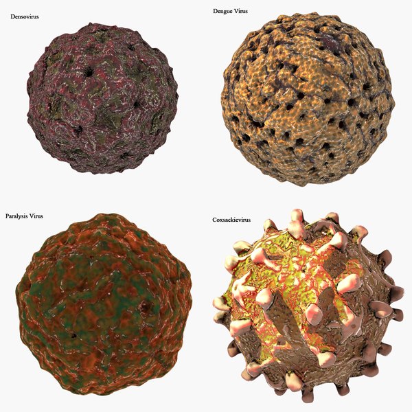 3d virus hiv human model