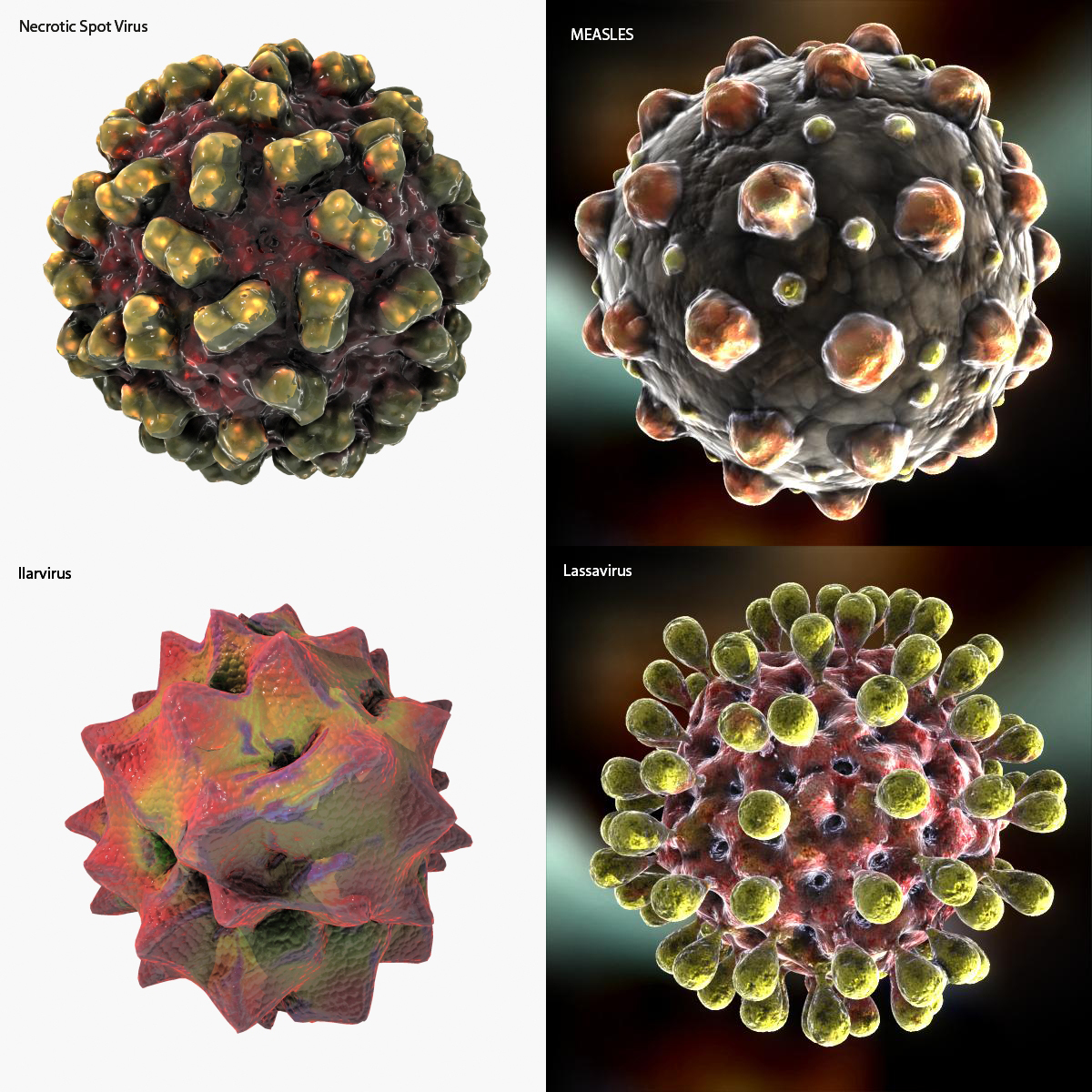3d virus hiv human model