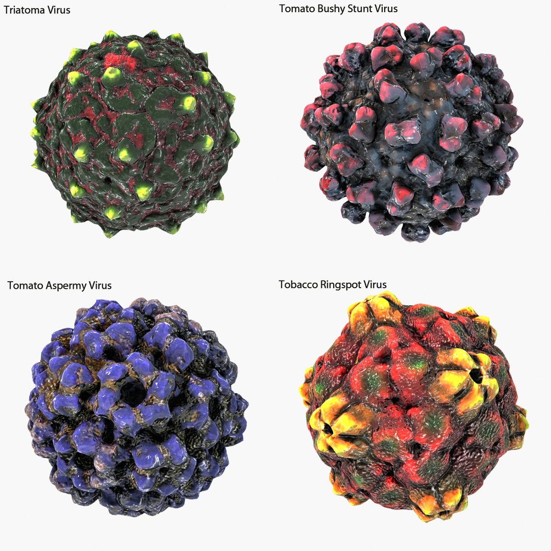 3d virus hiv human model