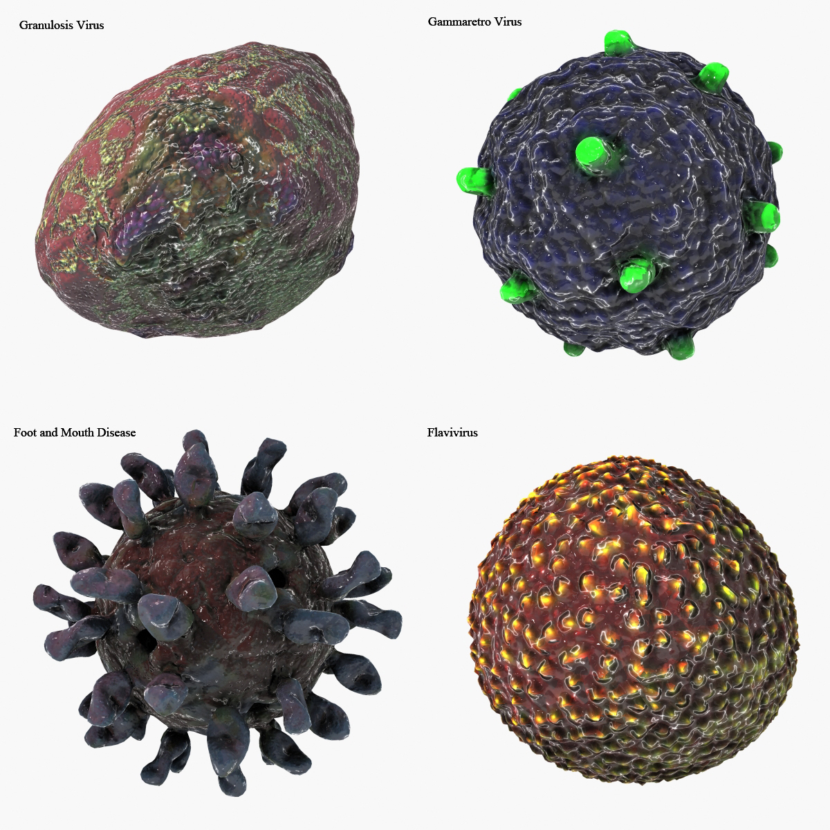 3d virus hiv human model