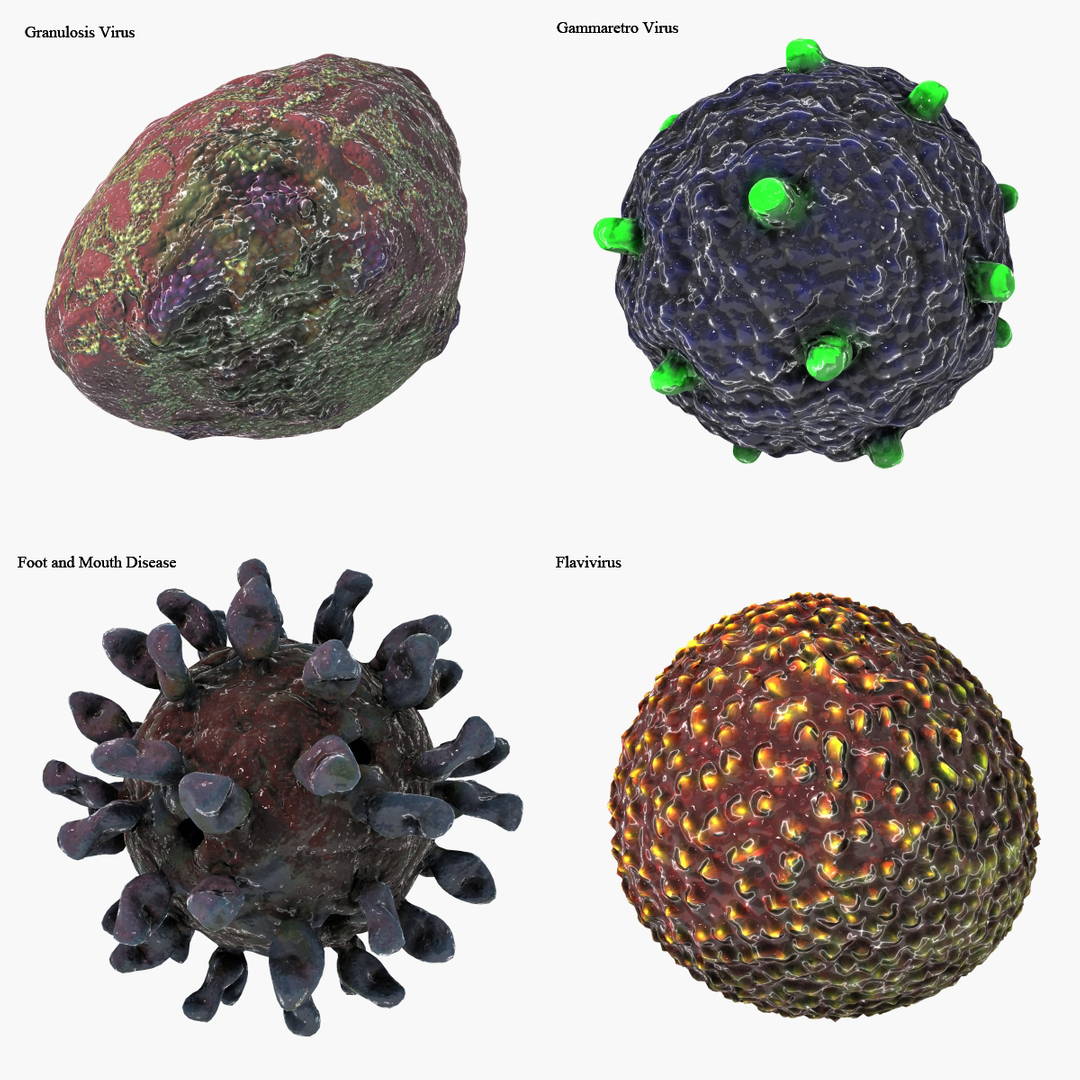 3d virus hiv human model