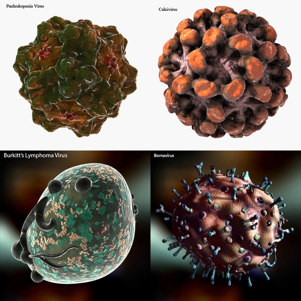 3d virus hiv human model