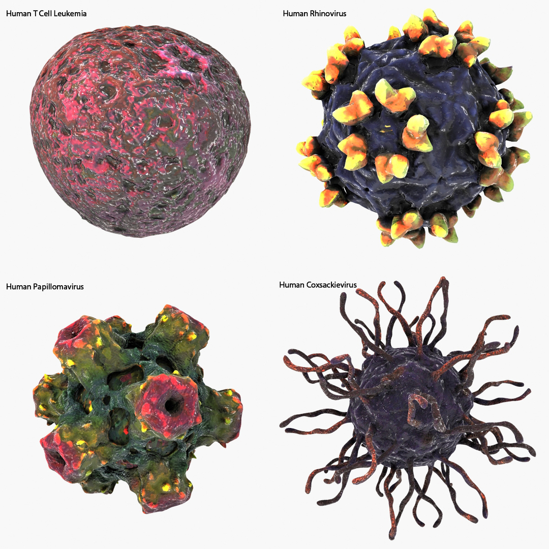 3d virus hiv human model