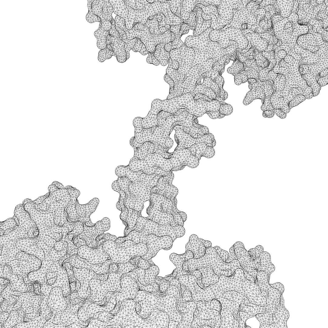 3d Human Parp-1 Dna Strand Model 3d Human Parp-1 Dna Strand Model