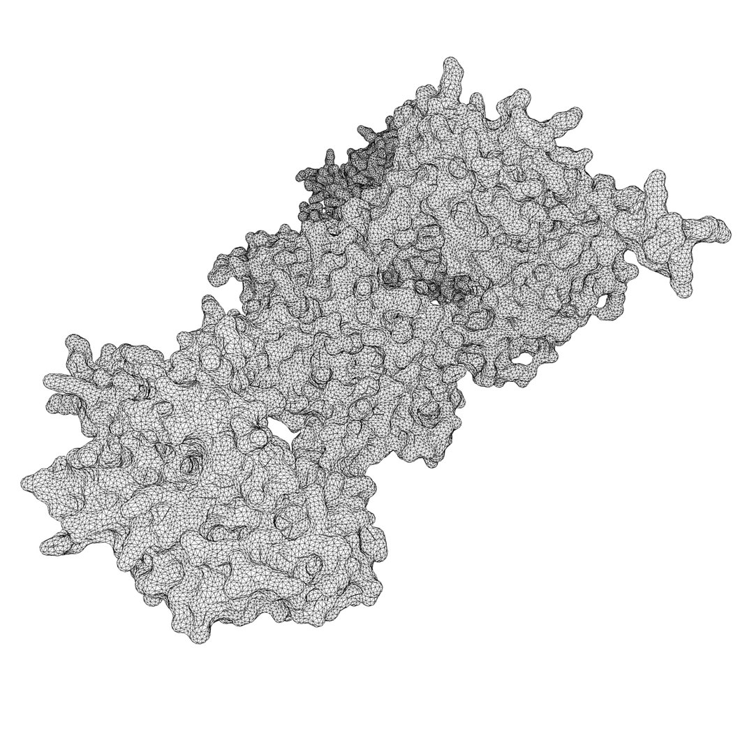 3d Human Parp-1 Dna Strand Model 3d Human Parp-1 Dna Strand Model