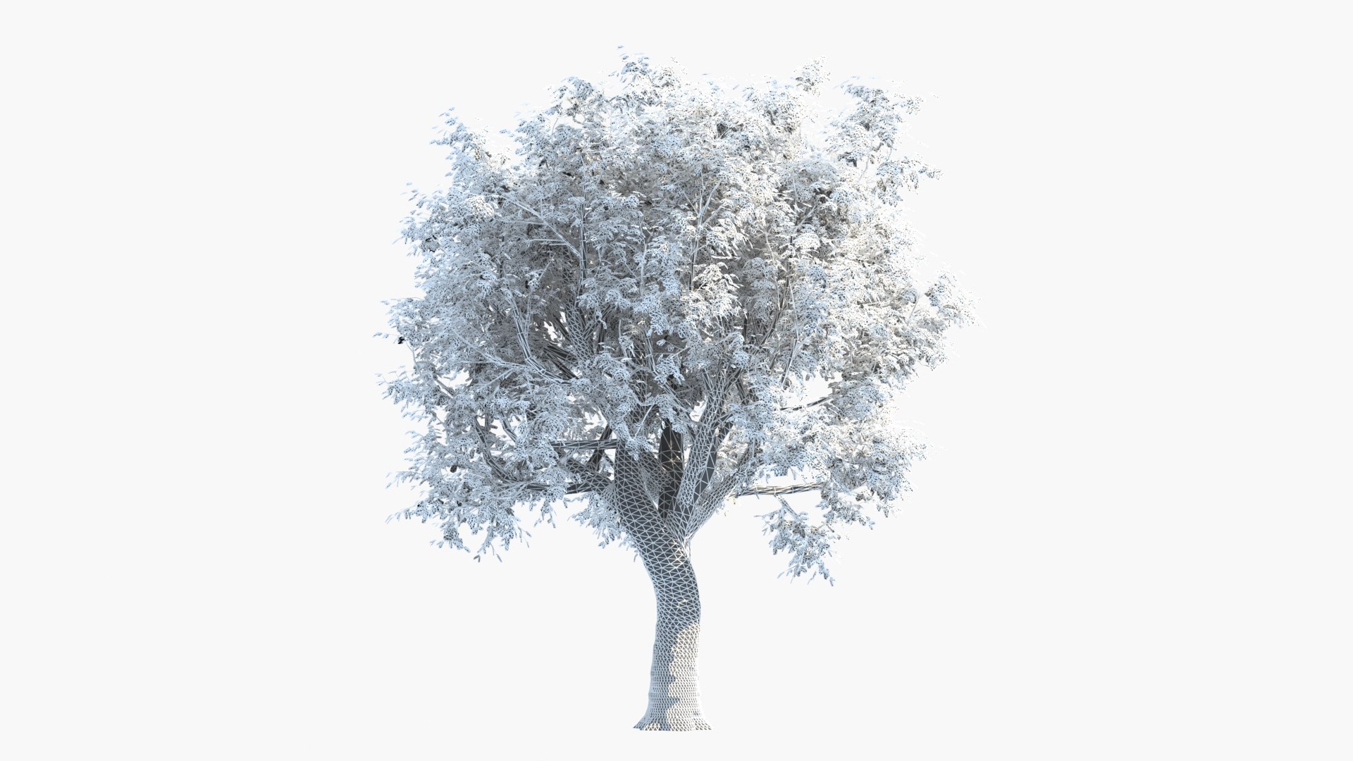 3D Model Big Tree Grow - TurboSquid 1636622