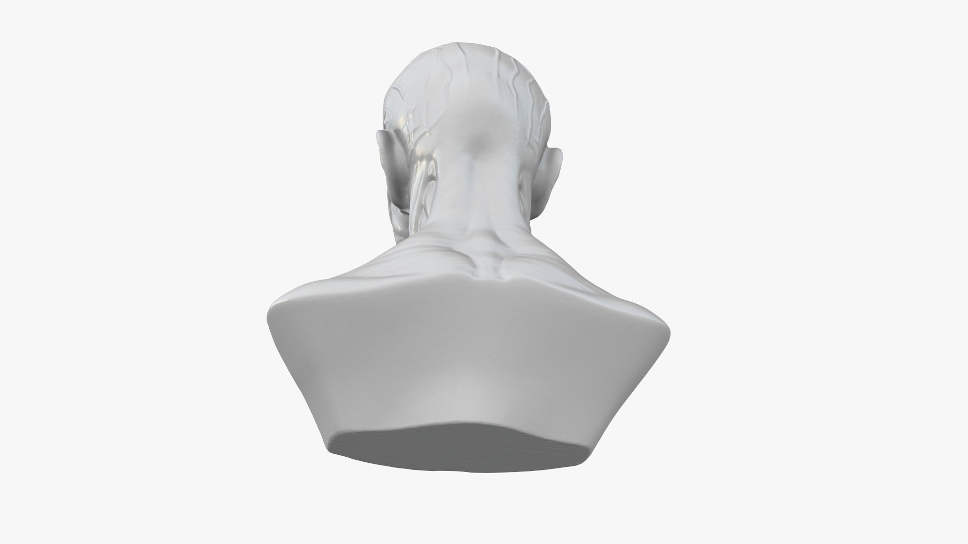 Human Head Anatomy 3D model - TurboSquid 1837458