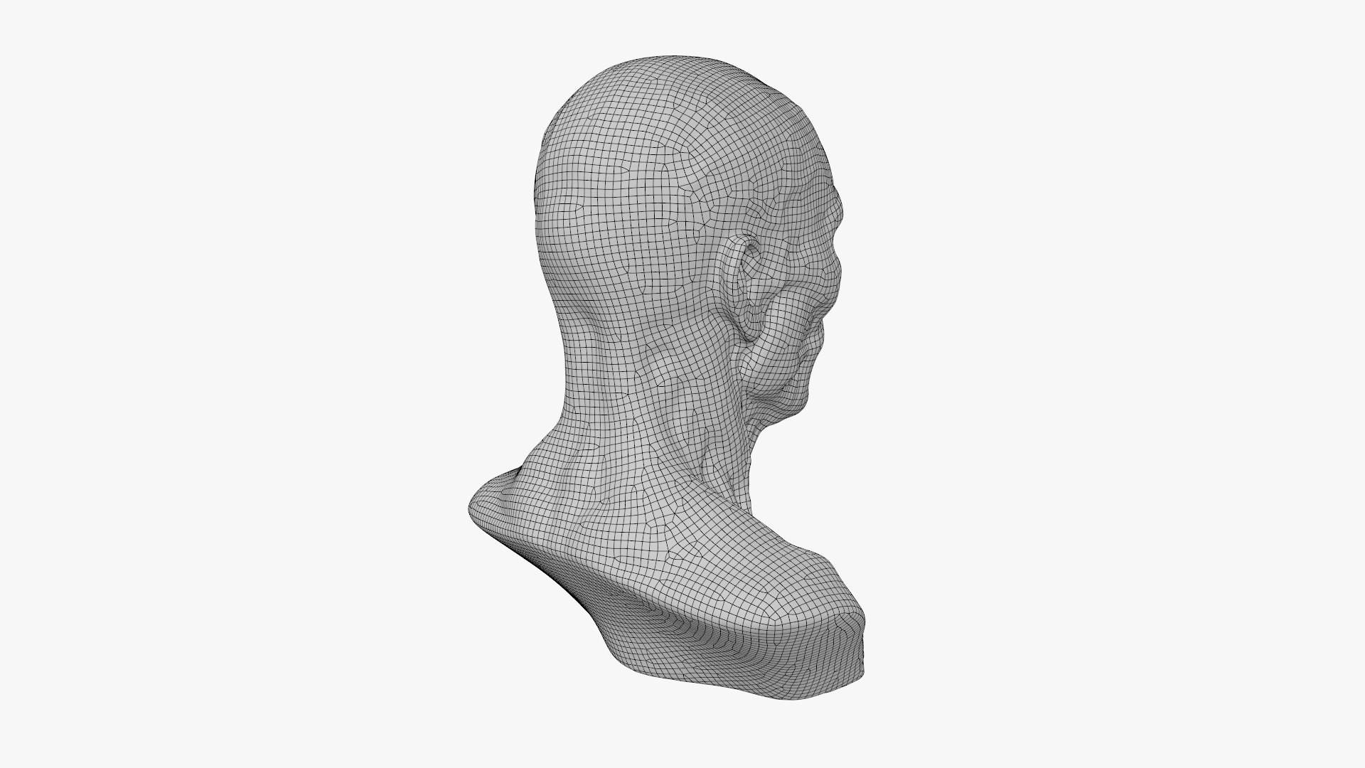 Human Head Anatomy 3D model - TurboSquid 1837458