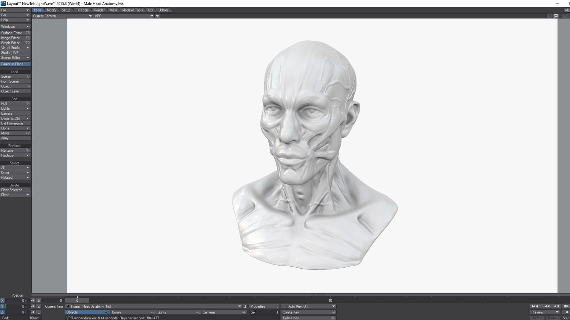 Human Head Anatomy 3D model - TurboSquid 1837458