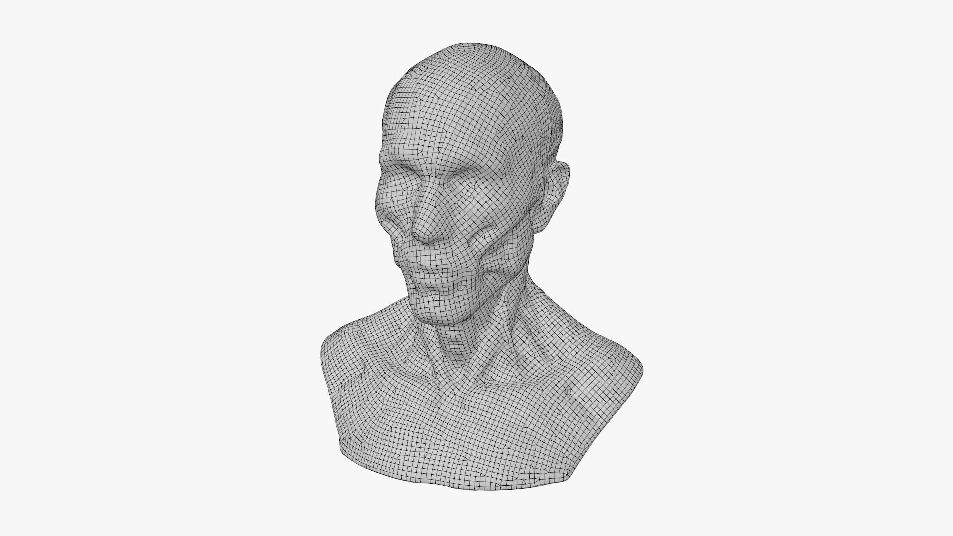 Human Head Anatomy 3D model - TurboSquid 1837458