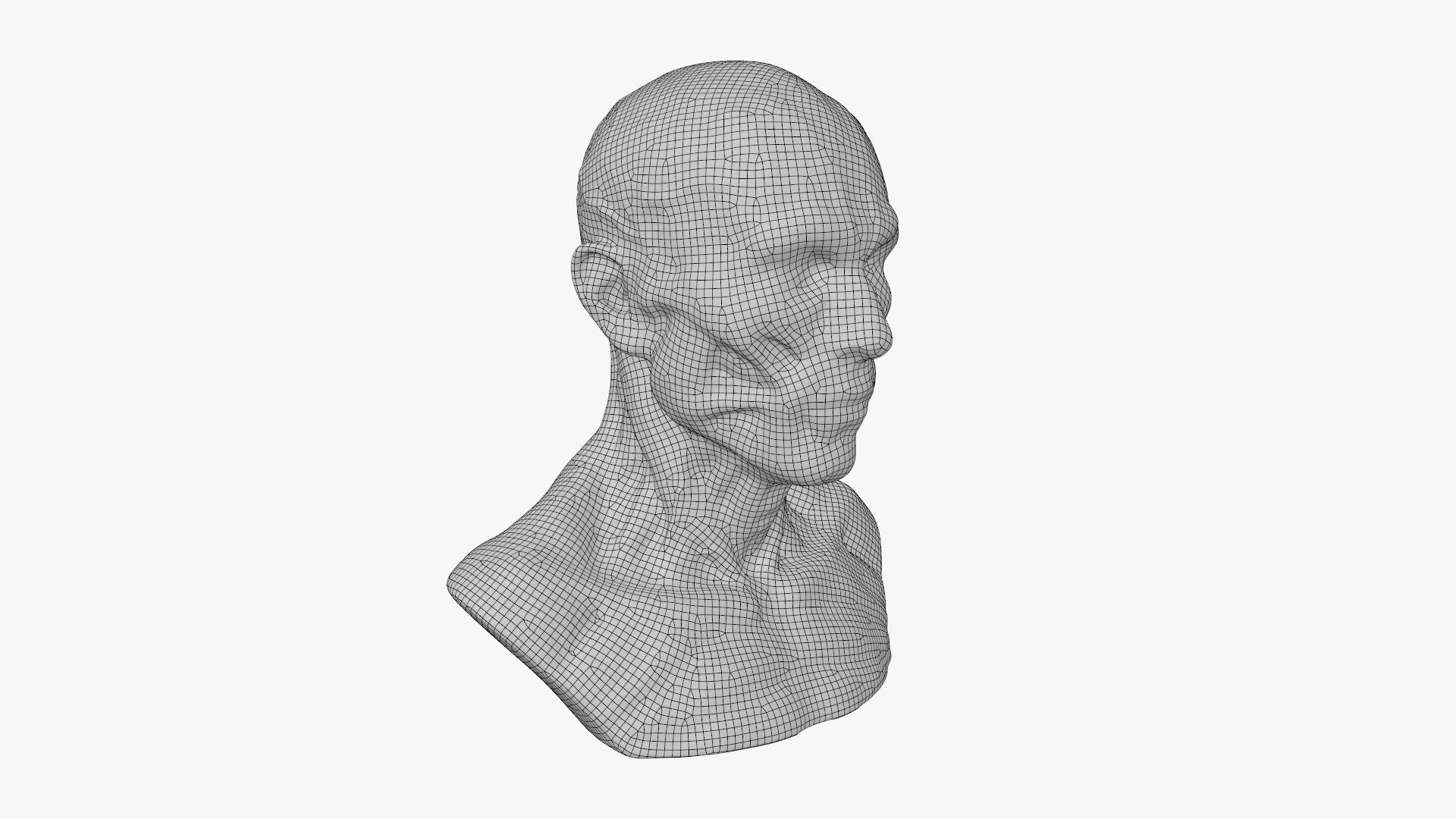 Human Head Anatomy 3D model - TurboSquid 1837458
