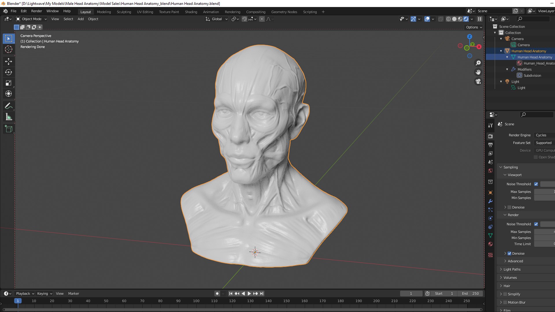 Human Head Anatomy 3D model - TurboSquid 1837458