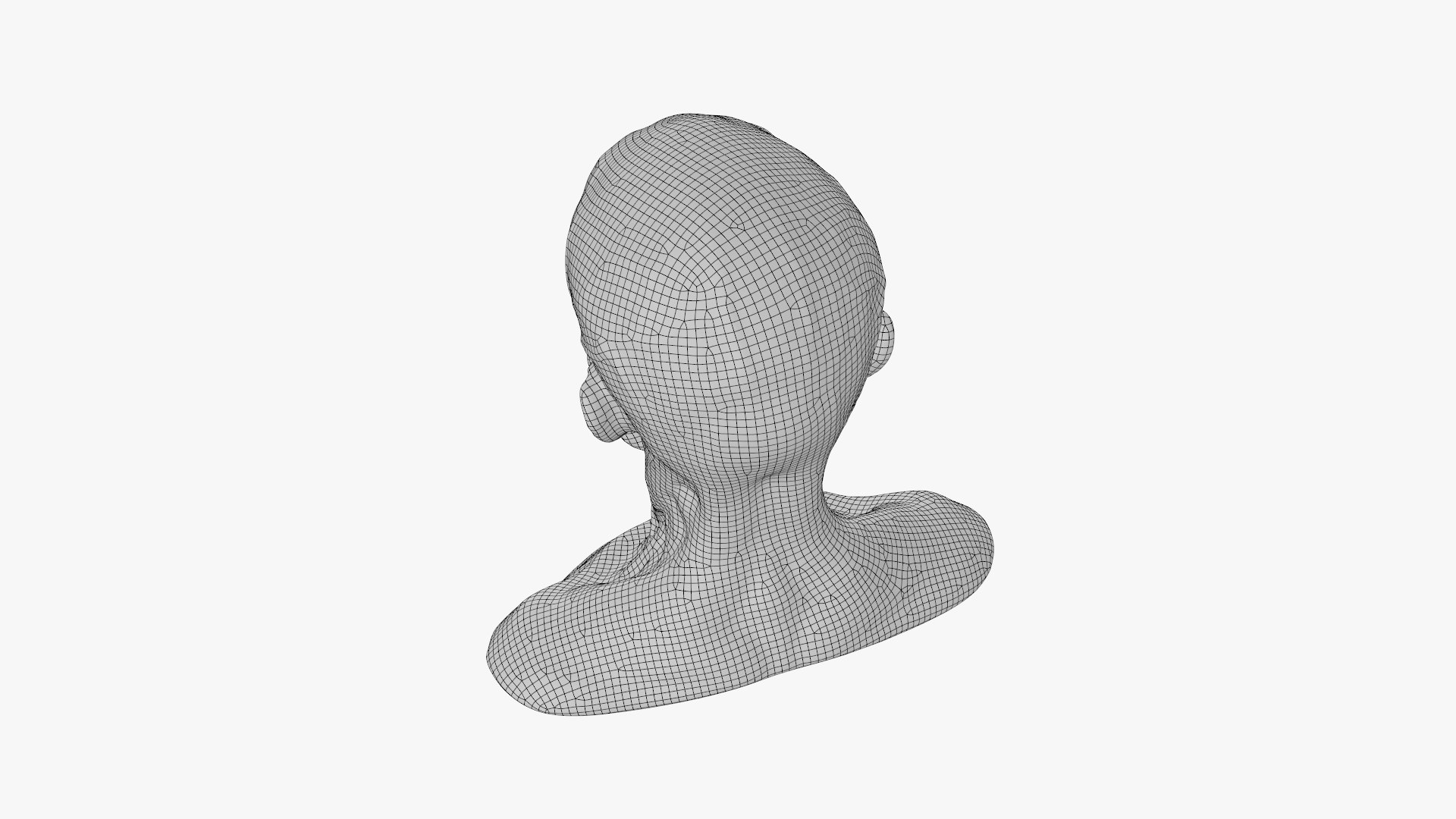 Human Head Anatomy 3D model - TurboSquid 1837458