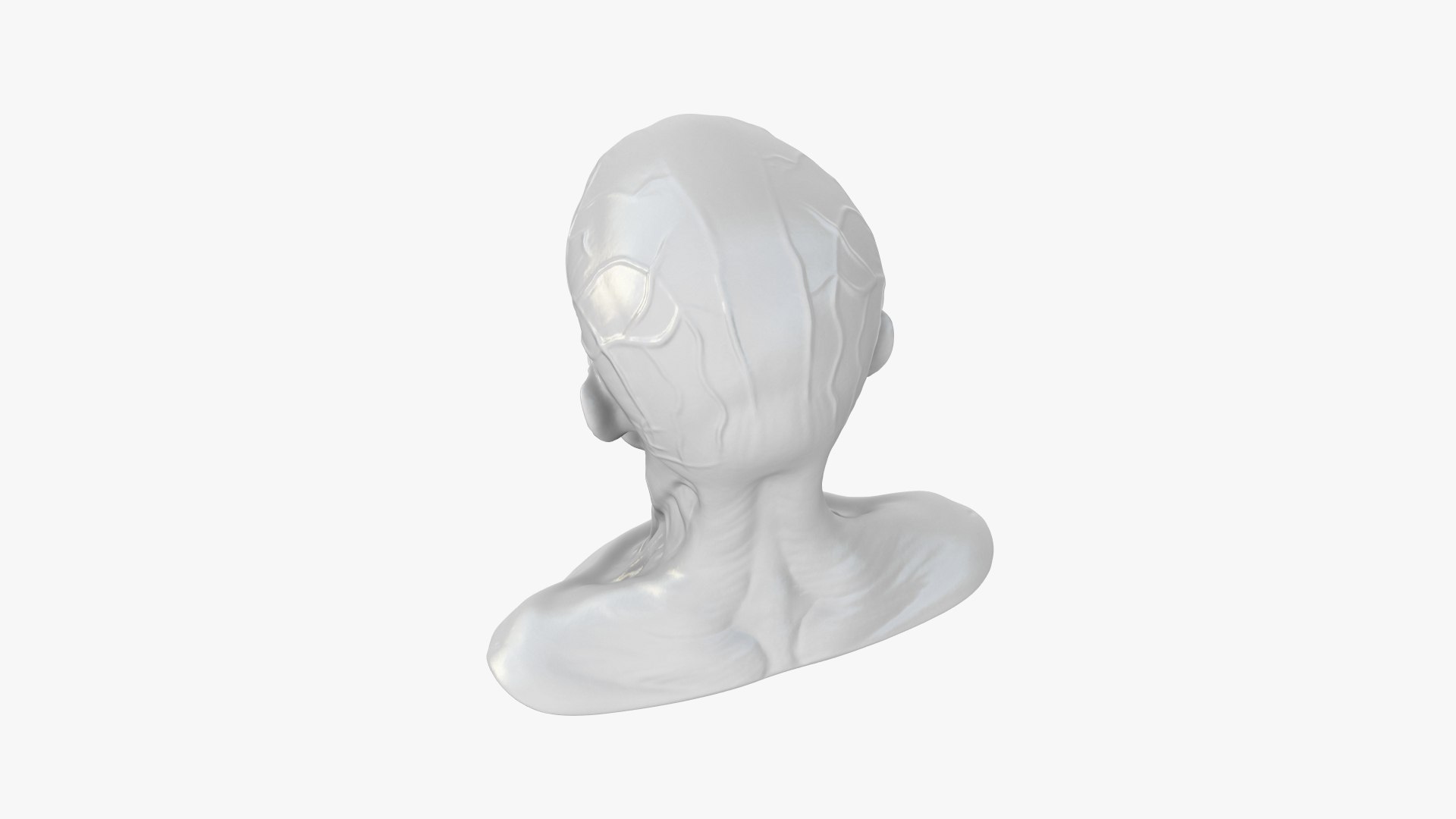 Human Head Anatomy 3D model - TurboSquid 1837458