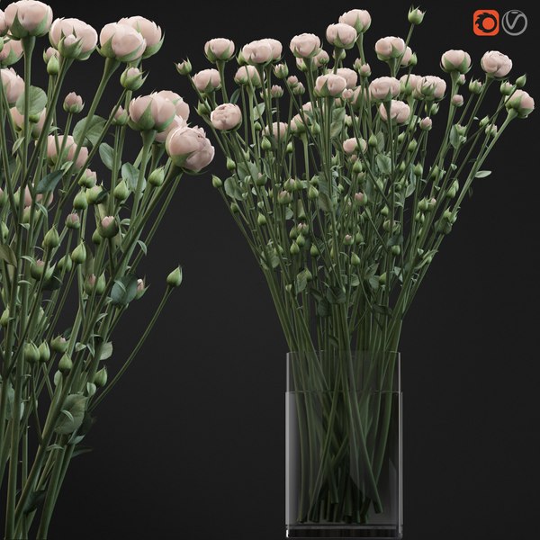 Rose 3D Models for Download | TurboSquid