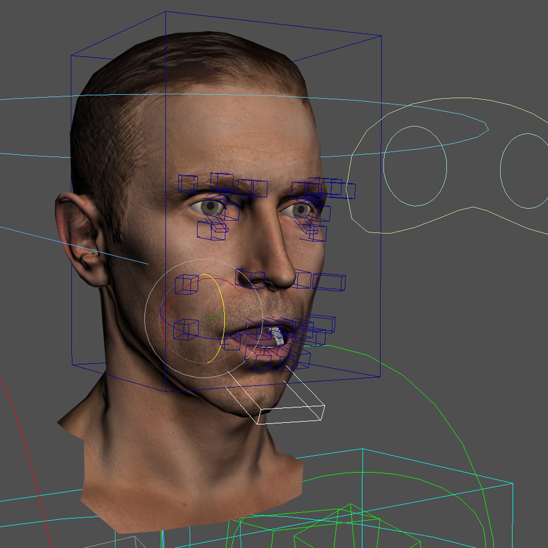 head rigged 3d max