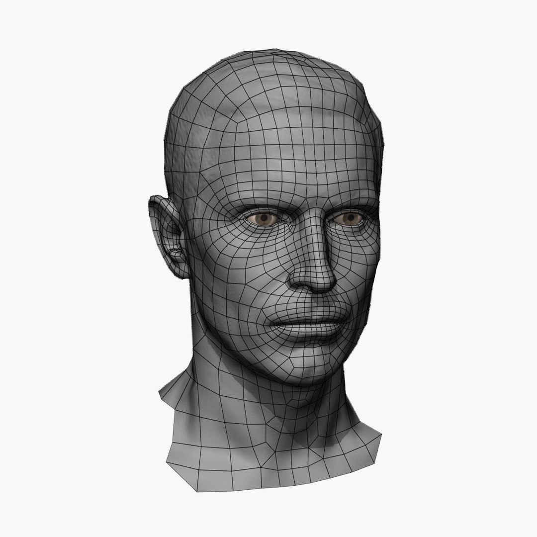head rigged 3d max