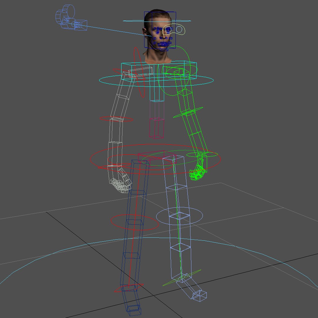 head rigged 3d max