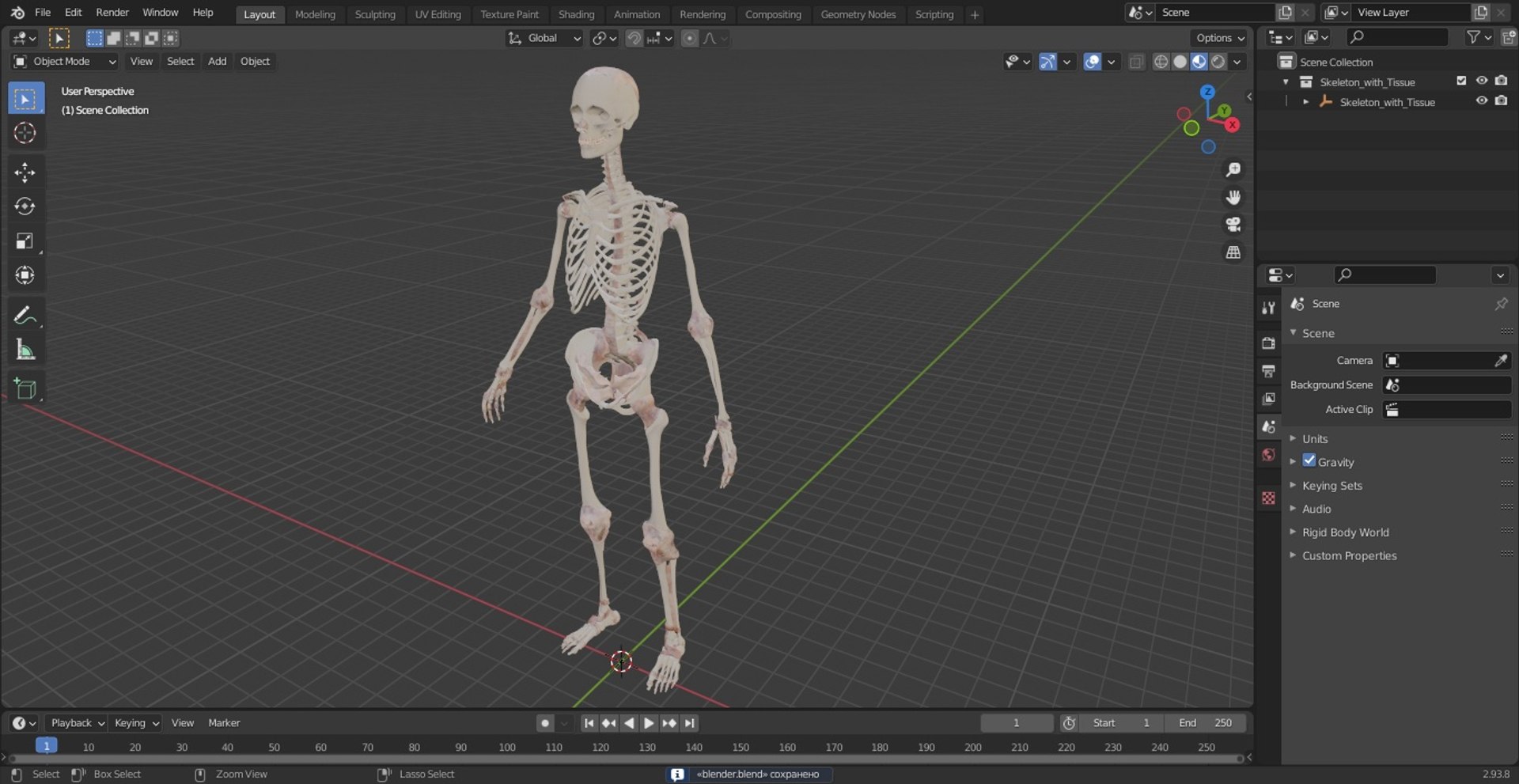 3D Skeleton with Tissue model - TurboSquid 1853457