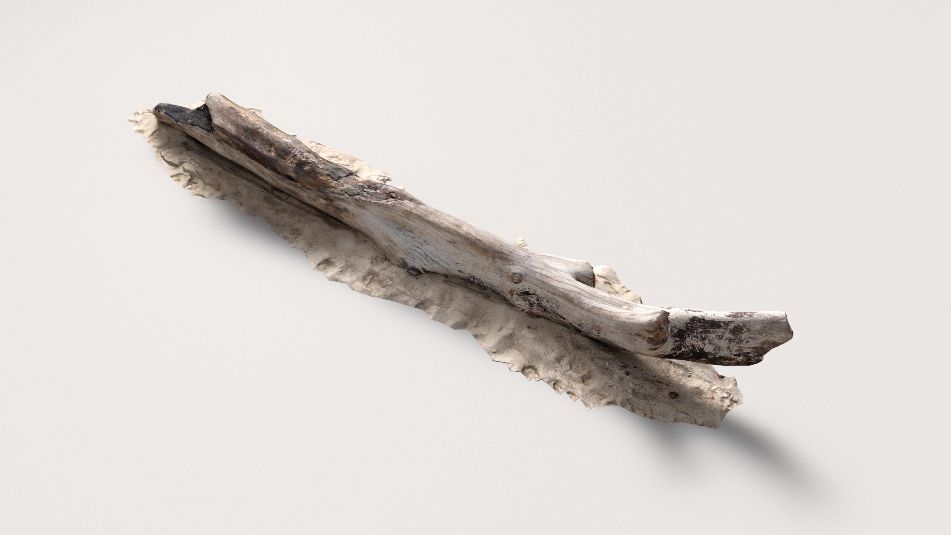 Tree Trunk On Shore 3D Model - TurboSquid 1971249