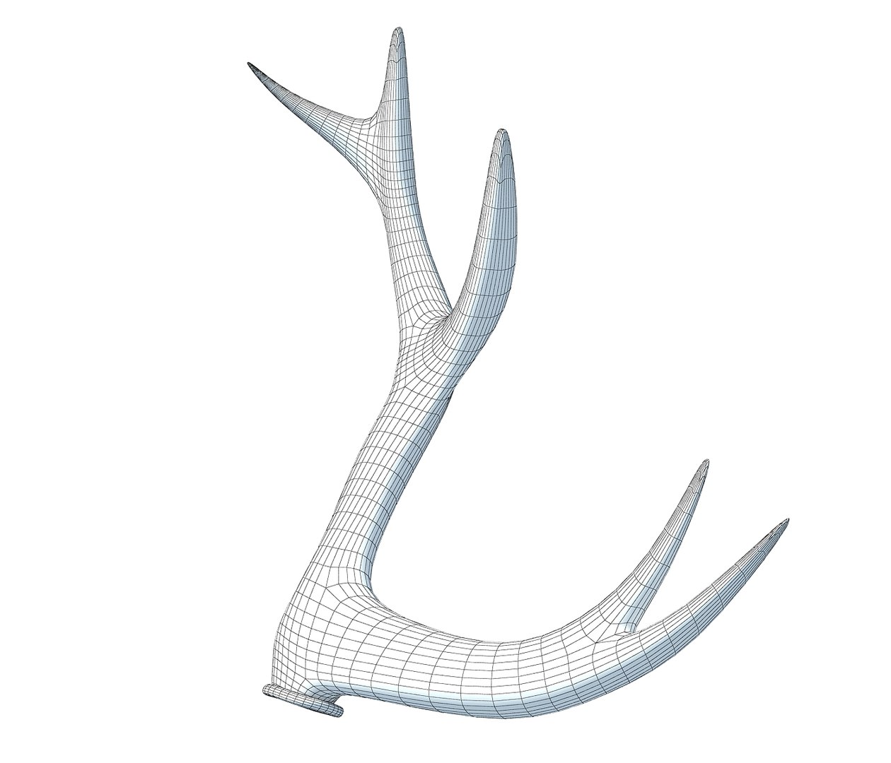 3D Deer Antler Model - TurboSquid 1177720