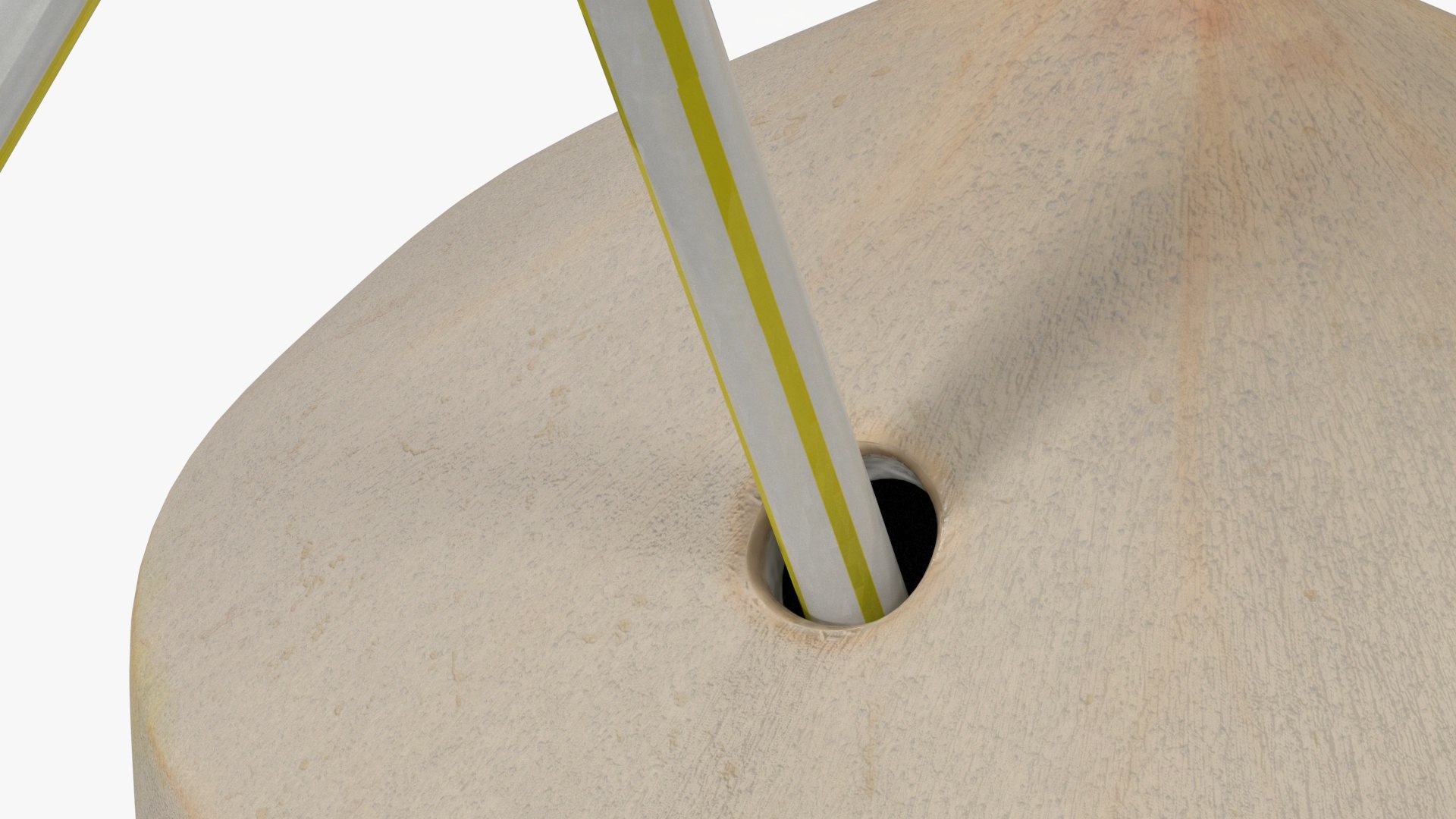 Shelled Coconut With Drink Pipe 3D Model - TurboSquid 2209123