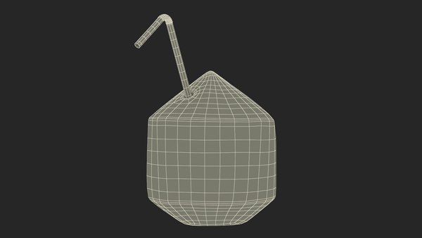 modelo 3d Coco sin cáscara con pipa de bebida - TurboSquid 2209123