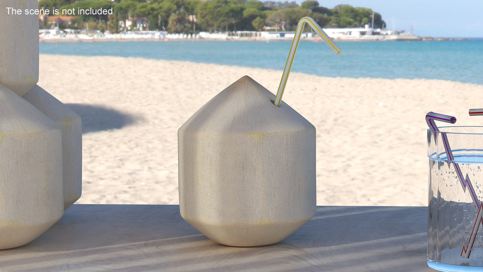 Shelled Coconut With Drink Pipe 3D Model - TurboSquid 2209123