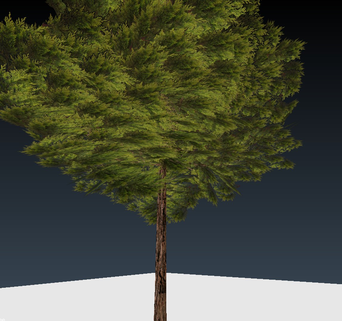 3D Realistic Tree Model - TurboSquid 1376480