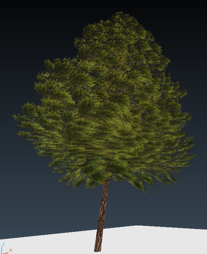 3D Realistic Tree Model - TurboSquid 1376480