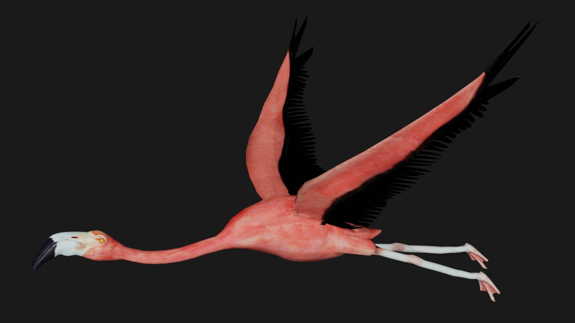 Flying Flamingo Rigged 3D Model - TurboSquid 1658977