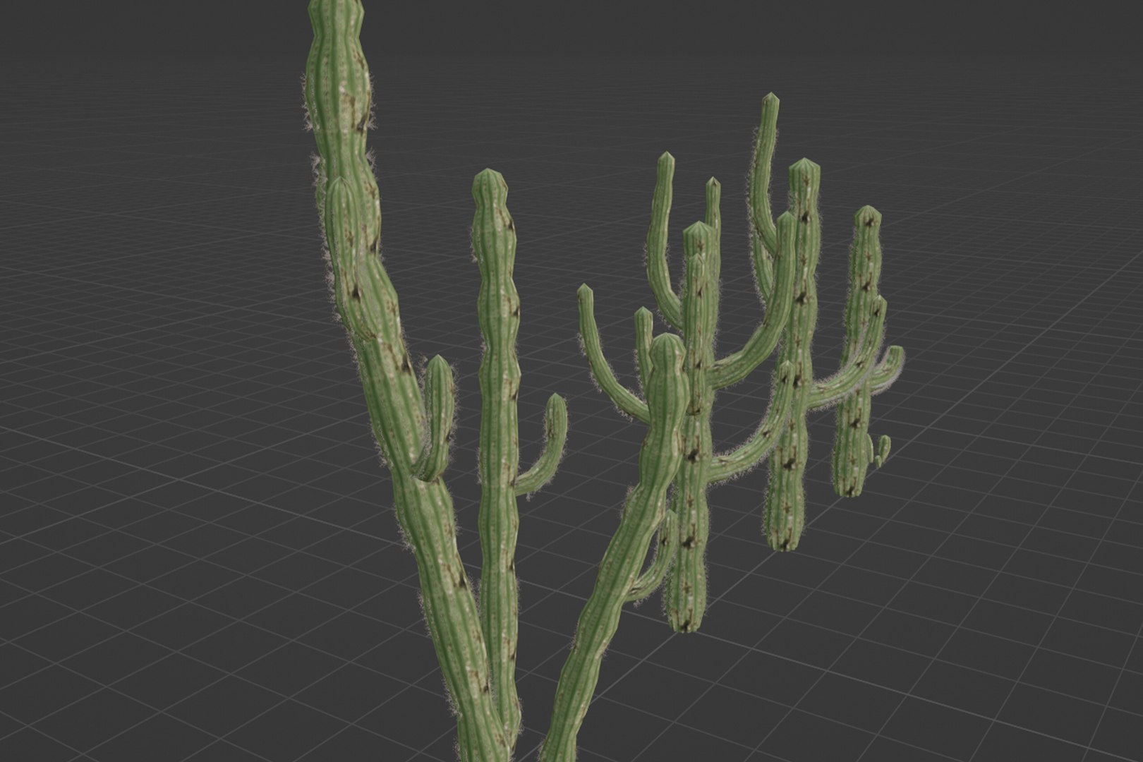 5 Cactus Low-poly 3D Model 3D Model - TurboSquid 2251858