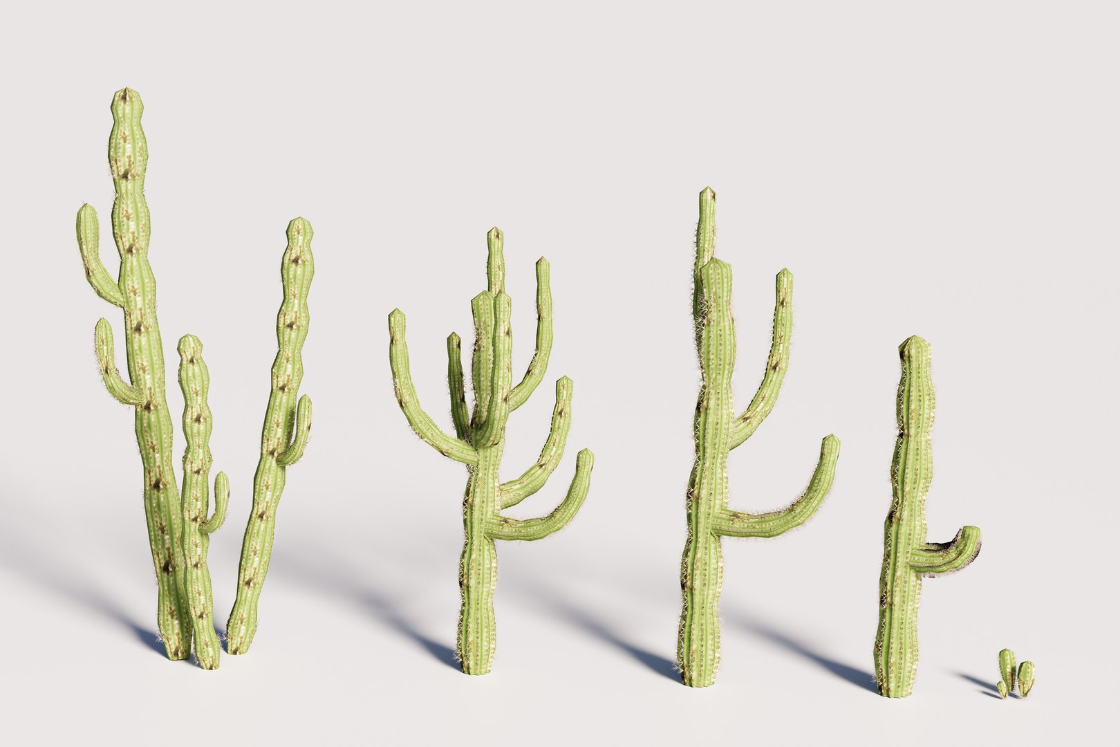 5 Cactus Low-poly 3D Model 3D Model - TurboSquid 2251858