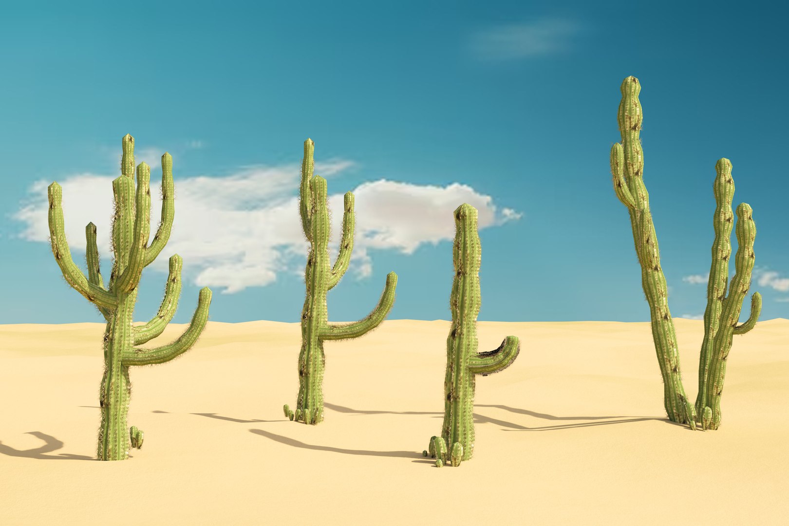 5 Cactus Low-poly 3D Model 3D Model - TurboSquid 2251858