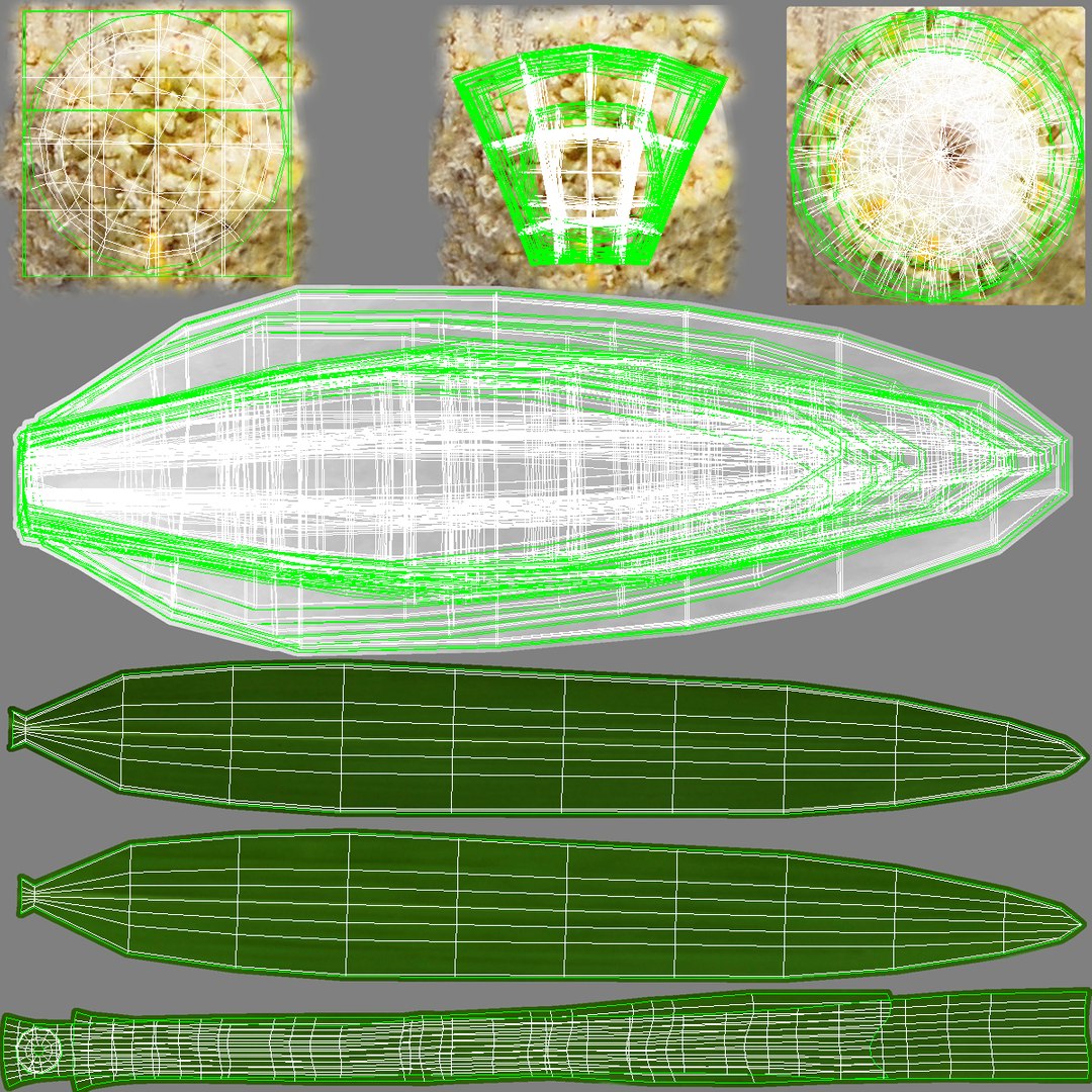 C4d Edelweiss Flower