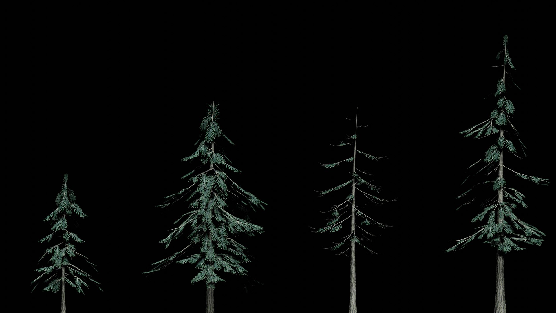 PSX Stylized Fir Trees Model - TurboSquid 2062752