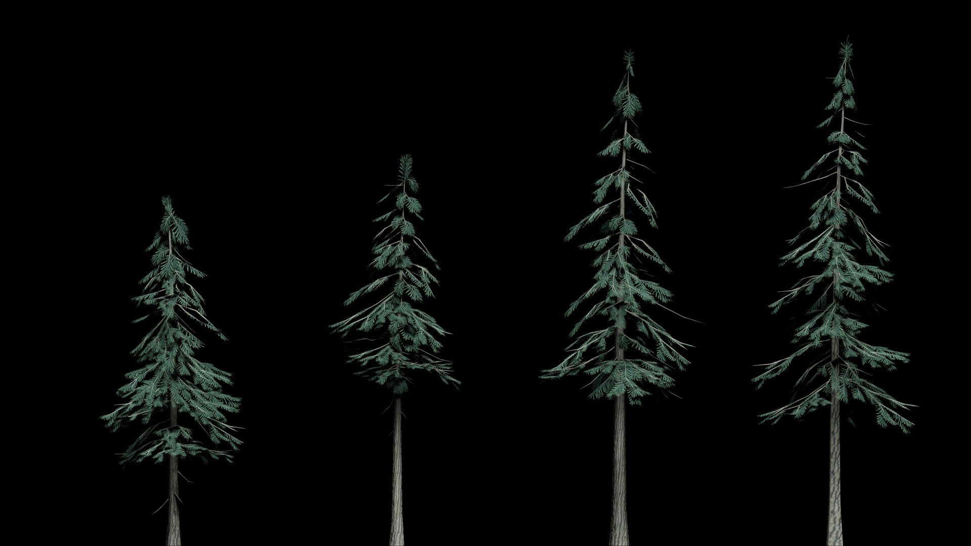 PSX Stylized Fir Trees Model - TurboSquid 2062752