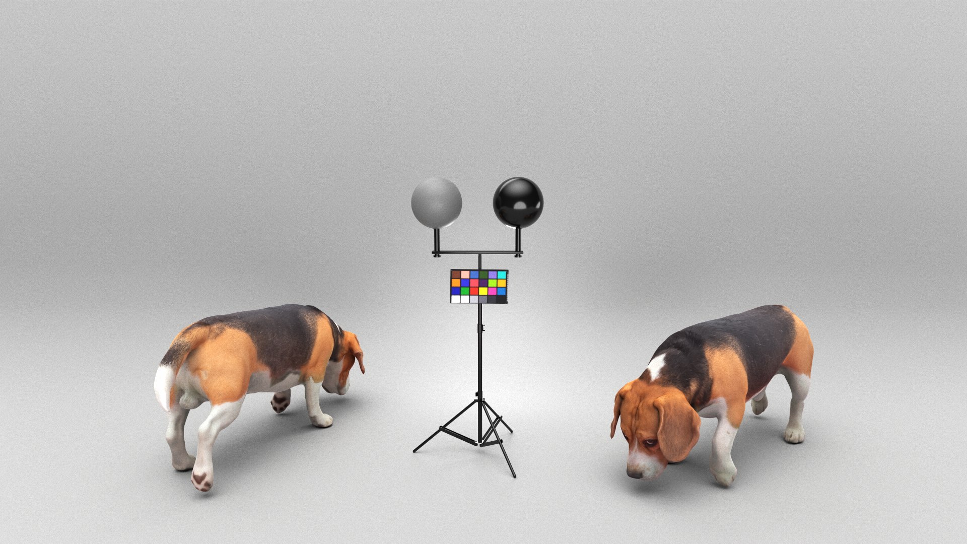 Beagle 40 Model - TurboSquid 2140079