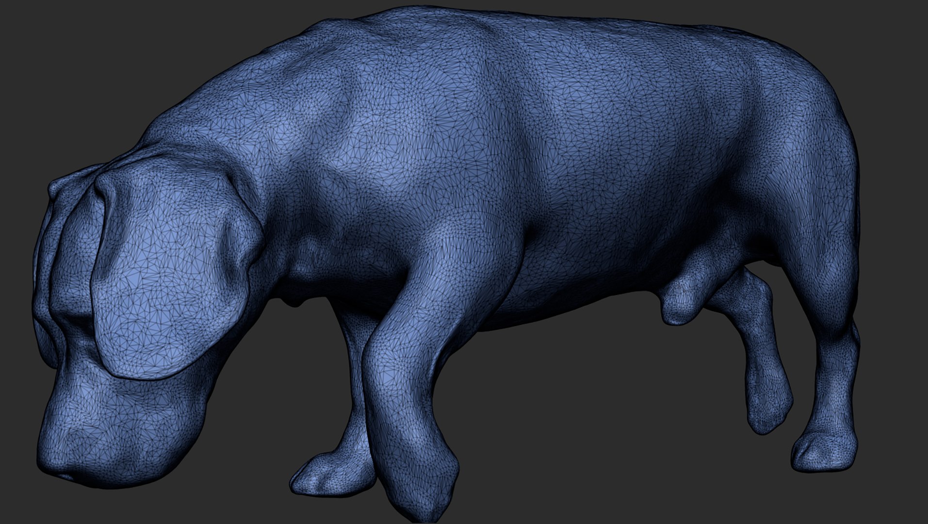 Beagle 40 Model - TurboSquid 2140079